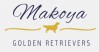 Makoya Golden Retrievers – North Brisbane, Queensland